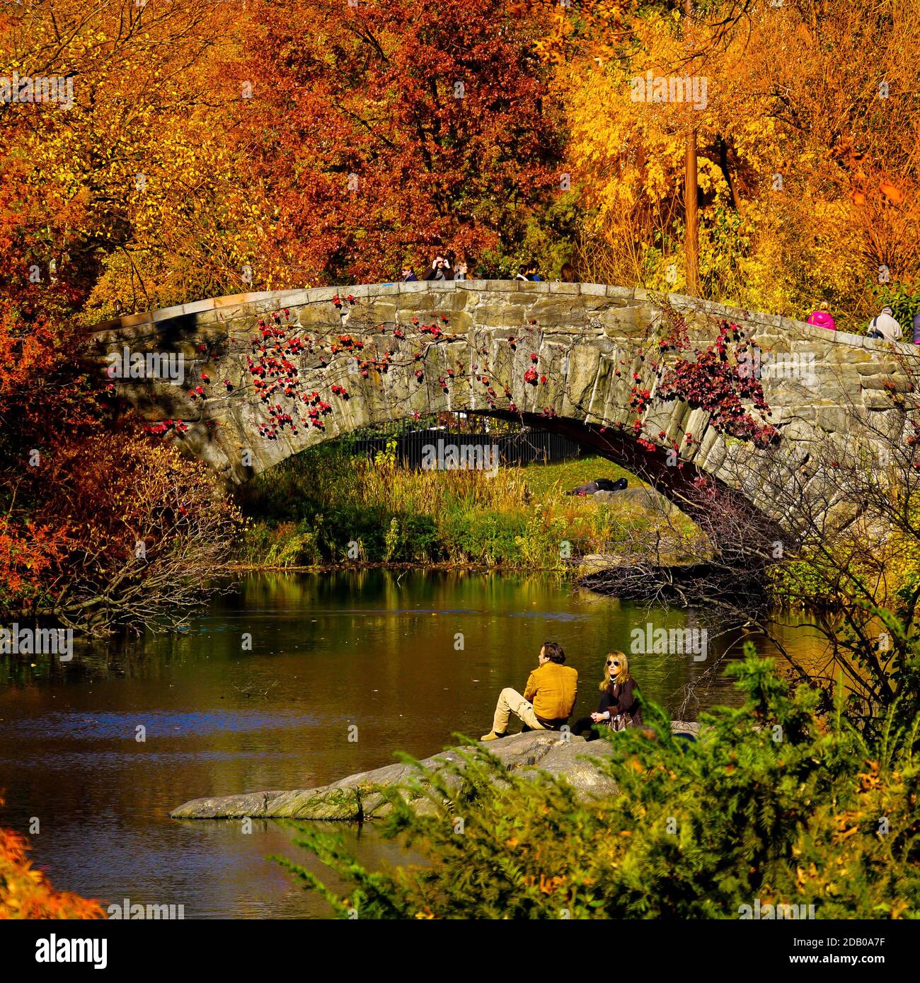 Central Park Fall Panoramic