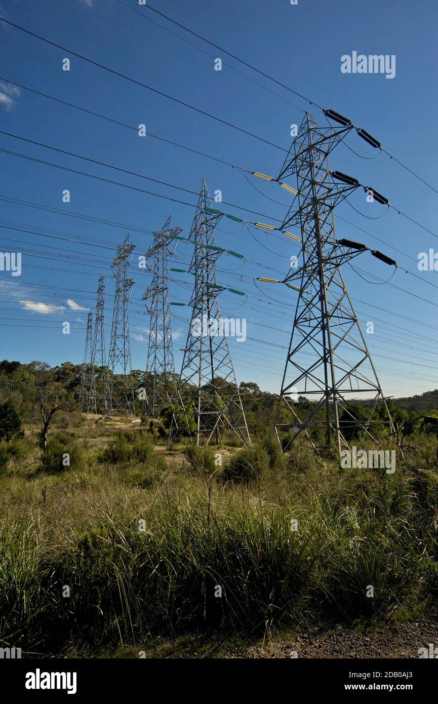 Electricity pylons make giant strides across the landscape - taking ...