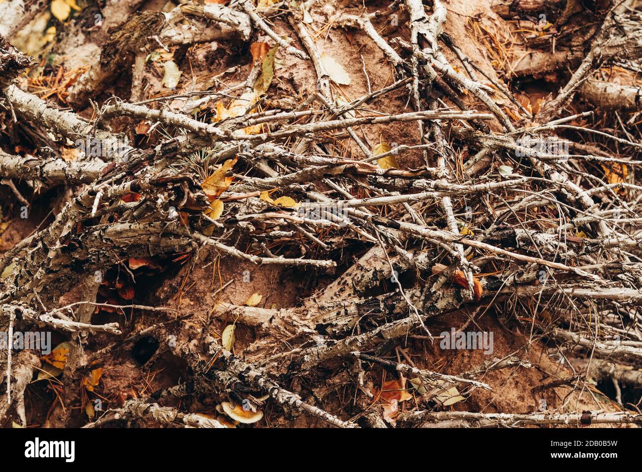 Thin Sand High Resolution Stock Photography and Images - Alamy