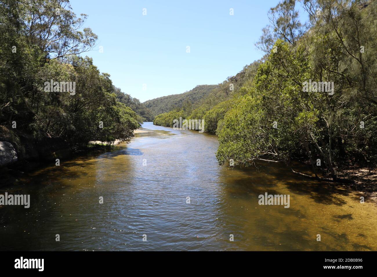 Berowra Valley National Park, Sydney, NSW, Australia Stock Photo - Alamy