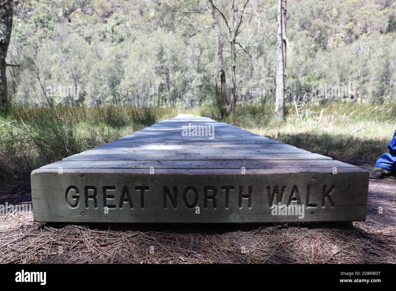The Great North Walk through Berowra Valley National Park, Sydney, NSW ...