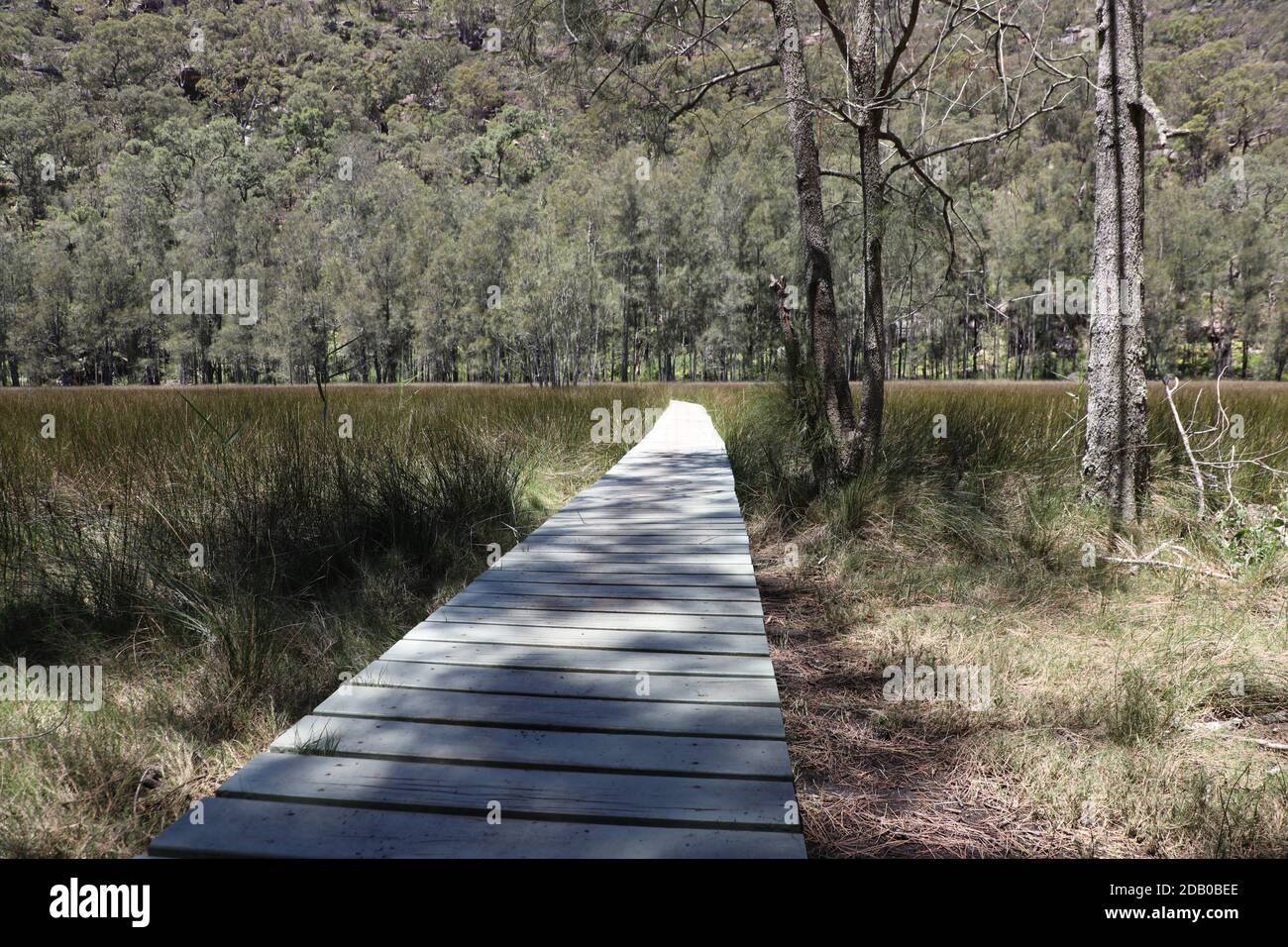 The Great North Walk through Berowra Valley National Park, Sydney, NSW ...