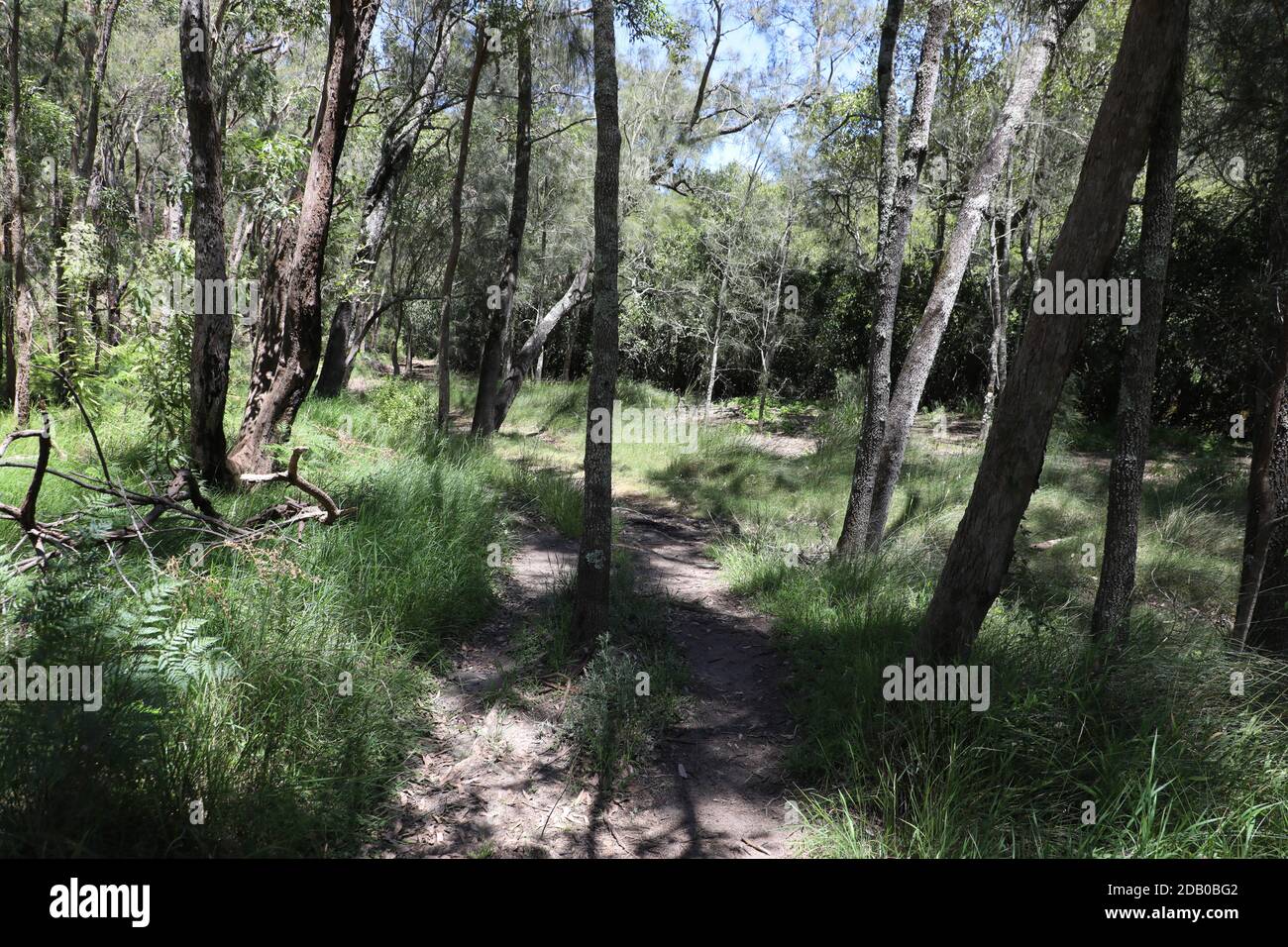 Berowra Valley National Park, Sydney, NSW, Australia Stock Photo - Alamy