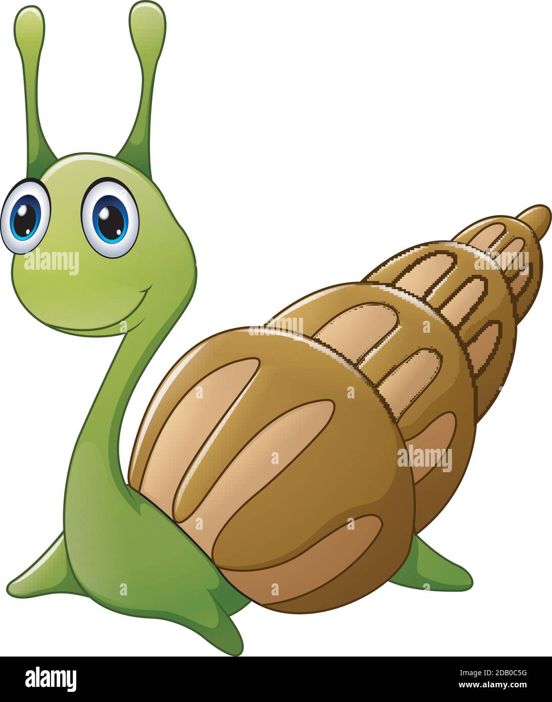 Cute snail cartoon on a white background Stock Vector Image & Art - Alamy