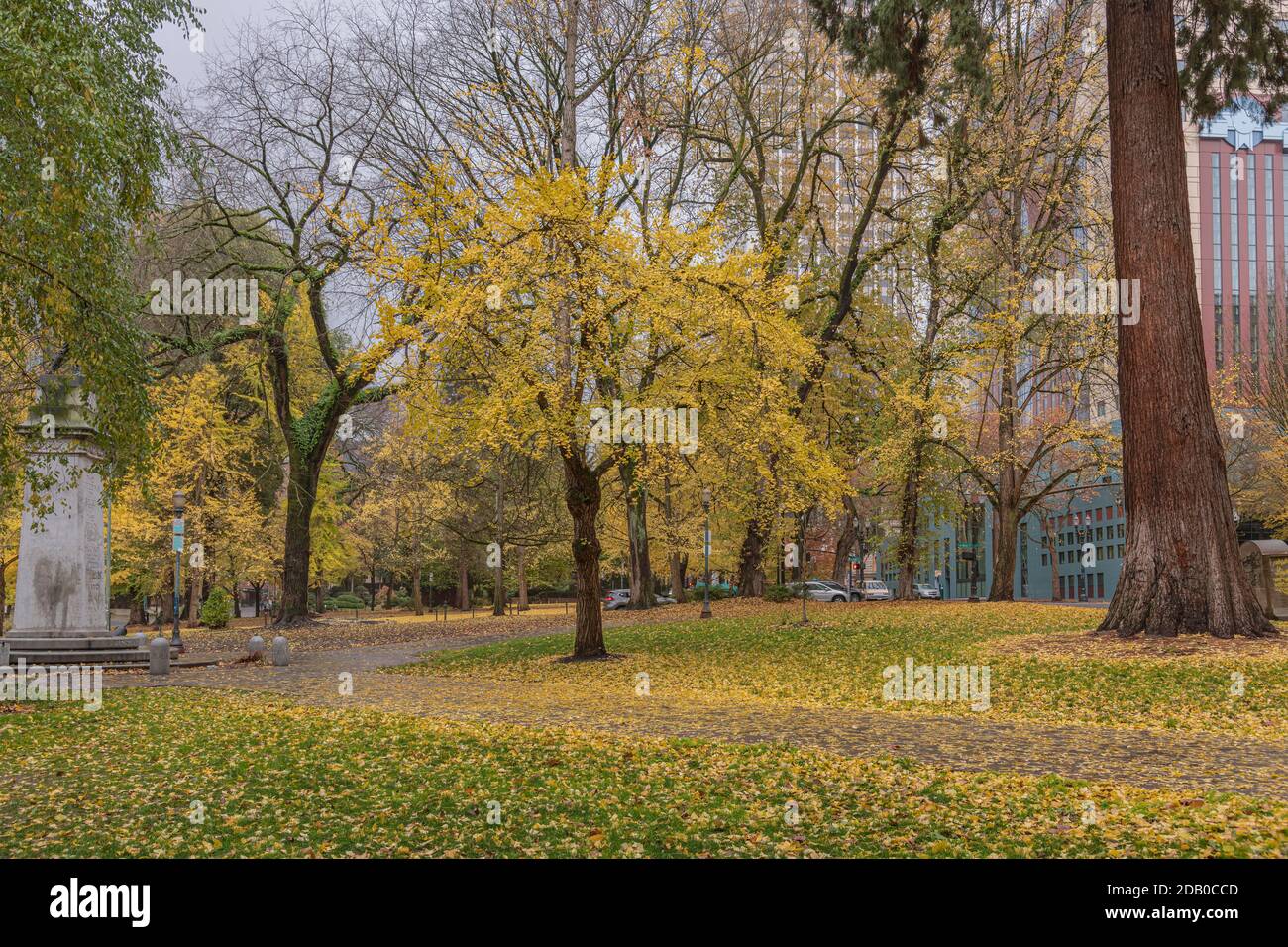 Downtown Portland Oregon public park fall colors Stock Photo - Alamy