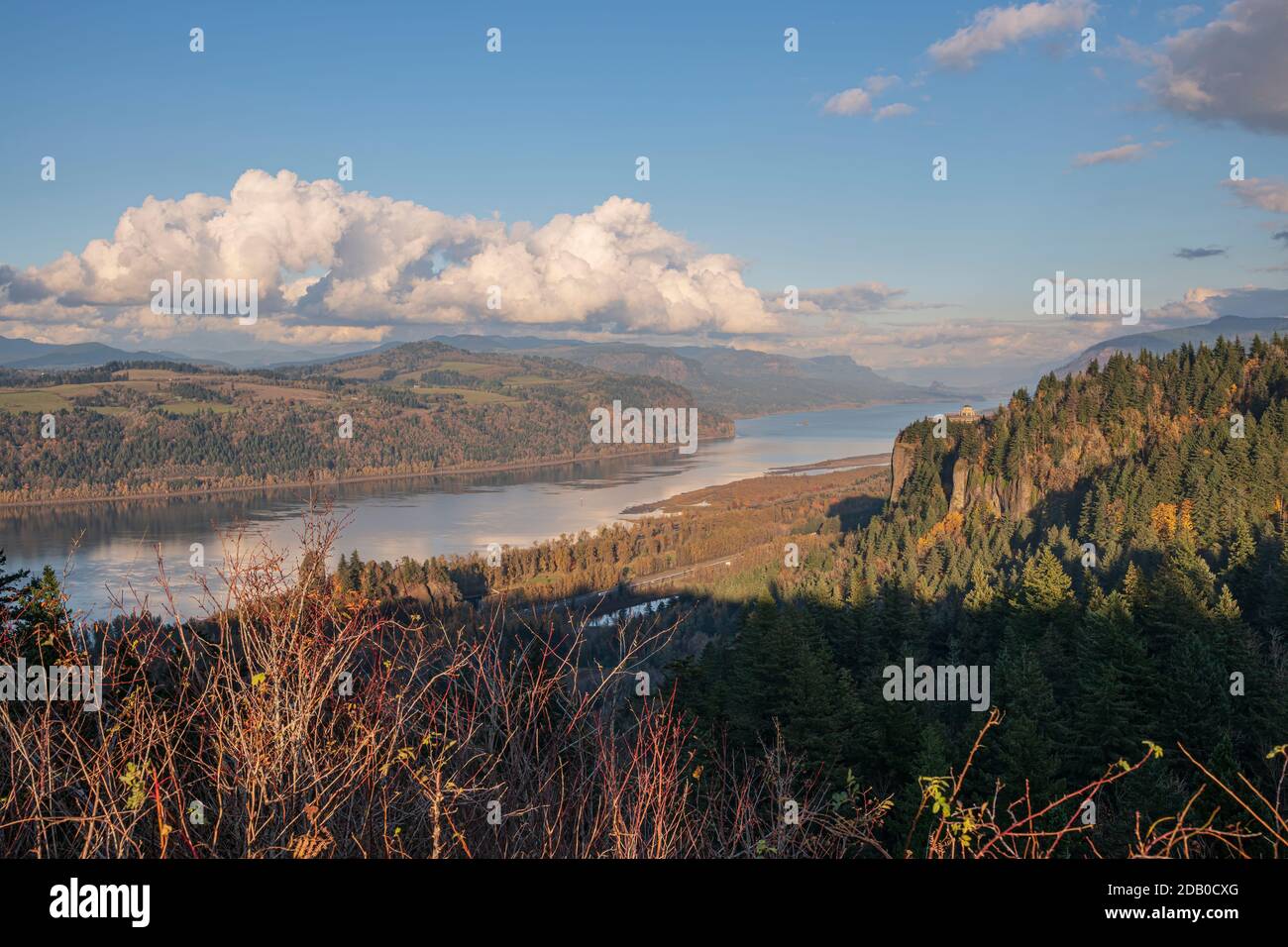 Seasonal changes Autumn colors in nature Oregon state Stock Photo - Alamy