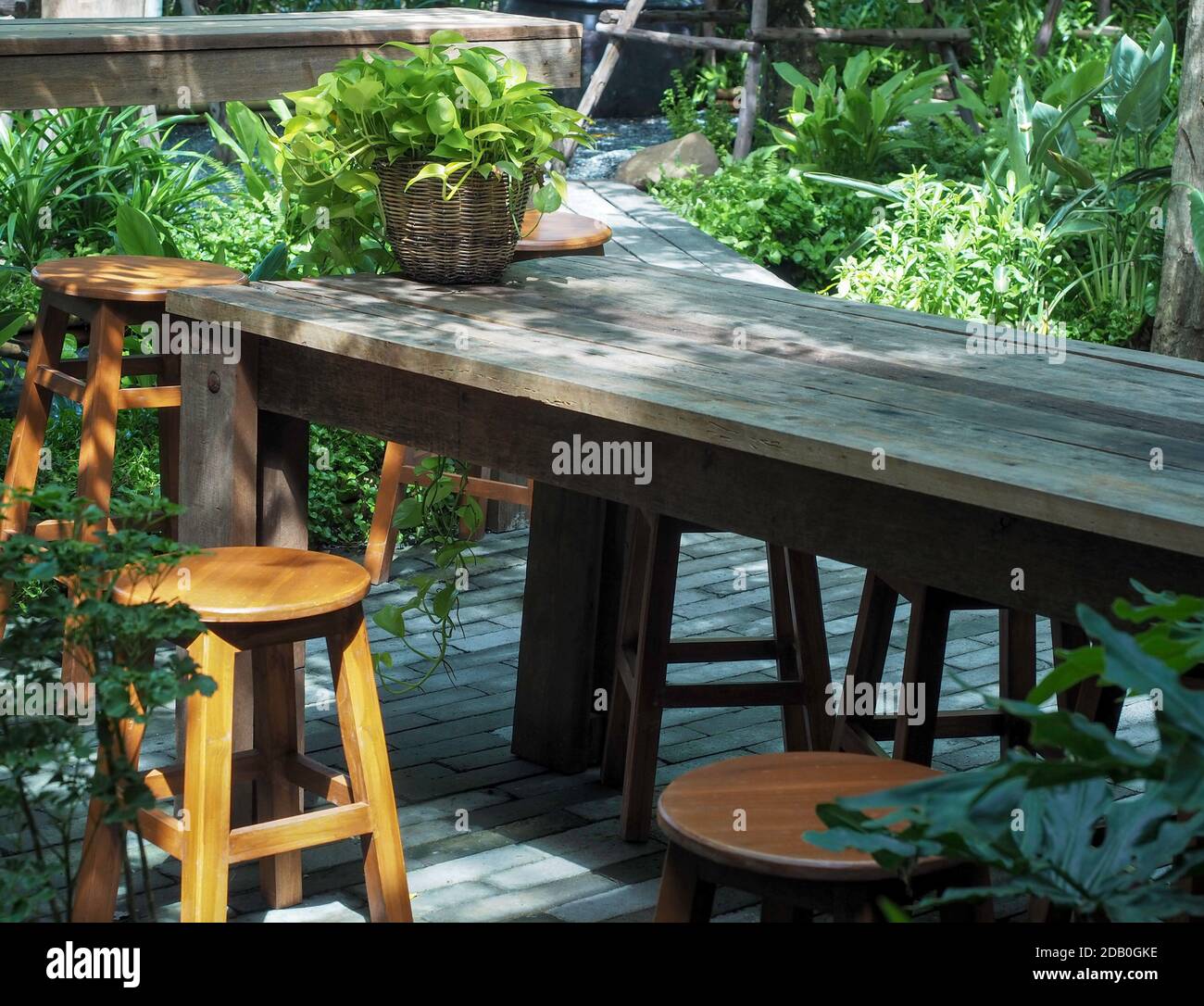 Table Chair Under Tree In High Resolution Stock Photography and Images ...