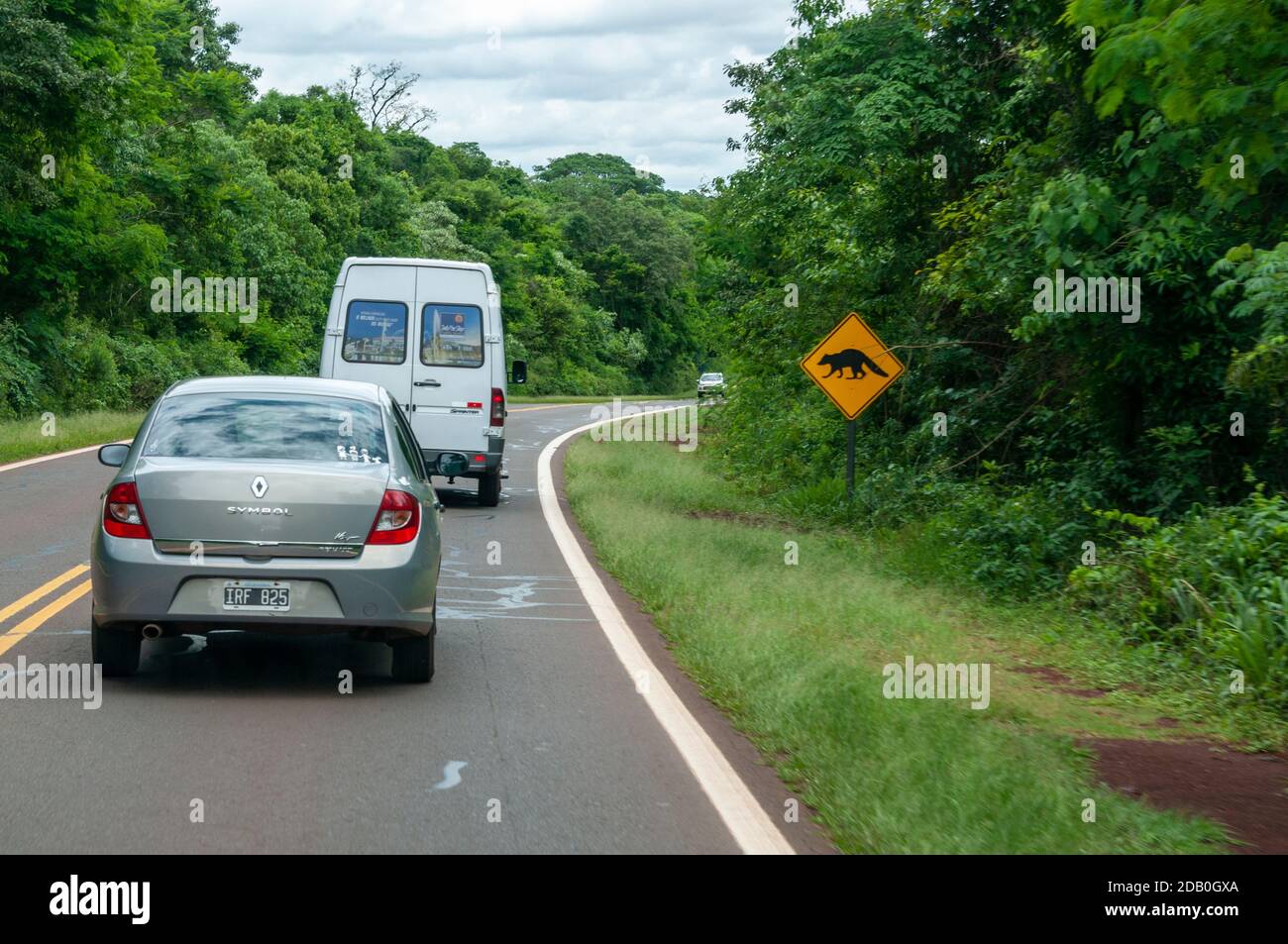 A road warning sign of a Coatmundi on a busy main road in the Iguazu ...