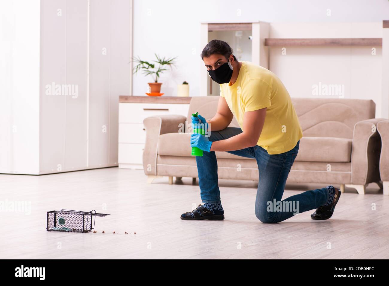Man and mousetrap at home Stock Photo - Alamy