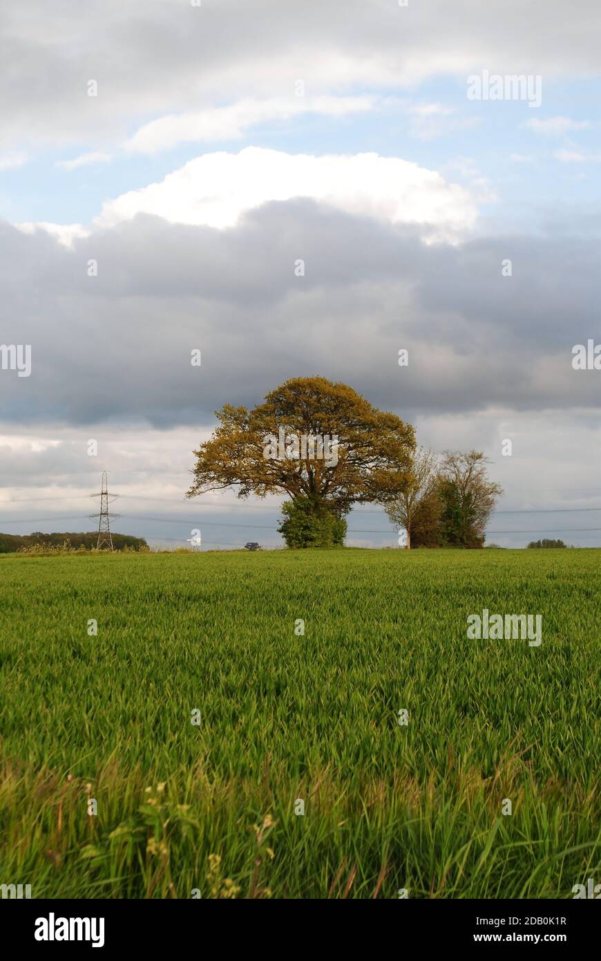 Hertfordshire countryside hi-res stock photography and images - Alamy