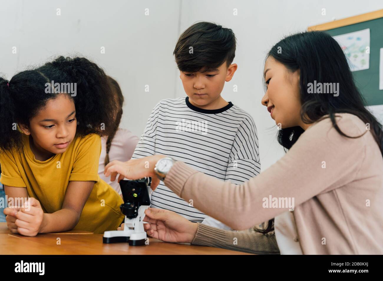 Young woman showing multiethnic children microscope in science class ...