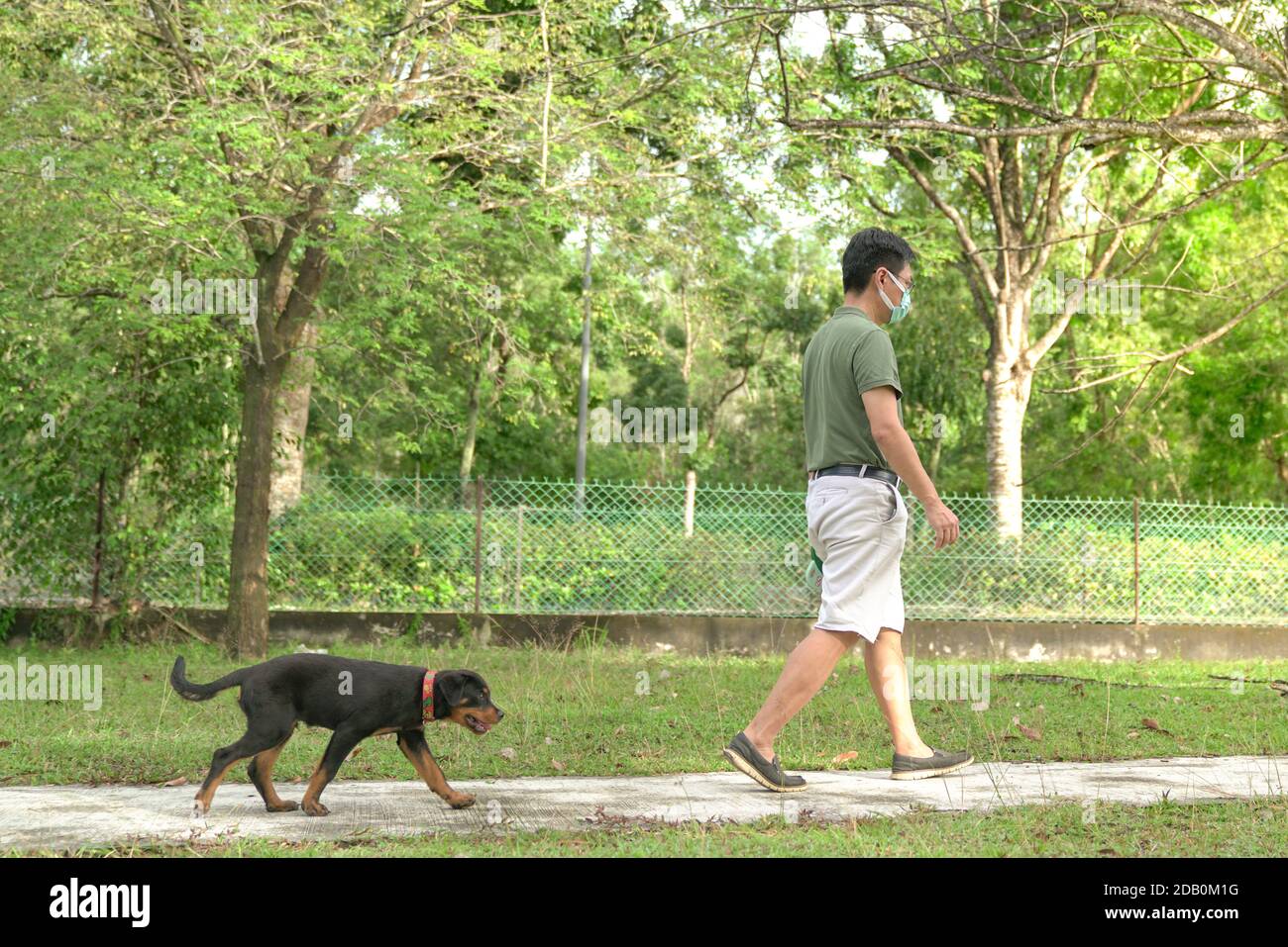 Dog follow man wearing mask while taking a walk at the park. Outdoor ...