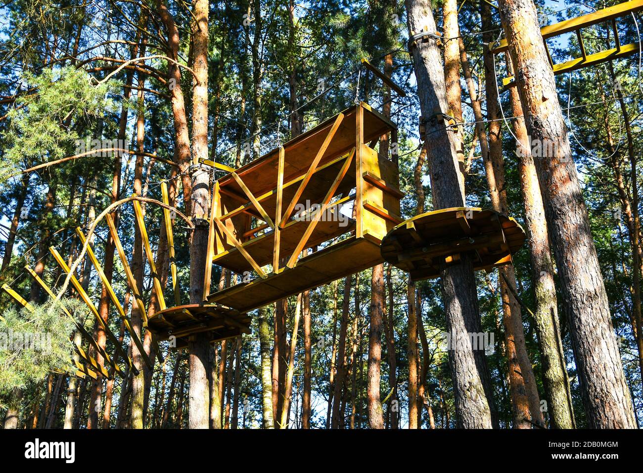 rope park in the tall tree forest obstacle. Adventure climbing high ...