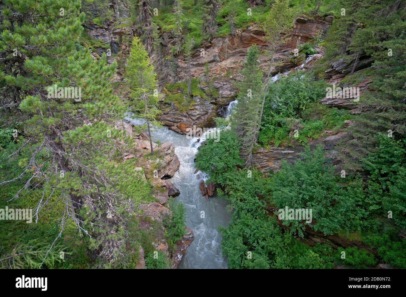 Plima river gorge in Martell Valley (Martelltal), Bolzano, Trentino ...