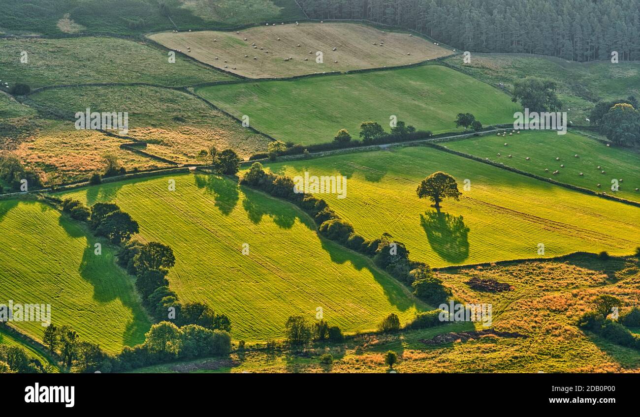 Sunlight casting soft glow scene hi-res stock photography and images ...