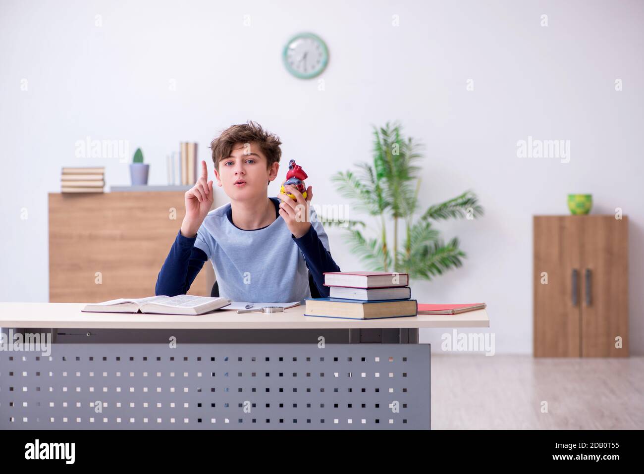 Boy studying heart model at home Stock Photo - Alamy
