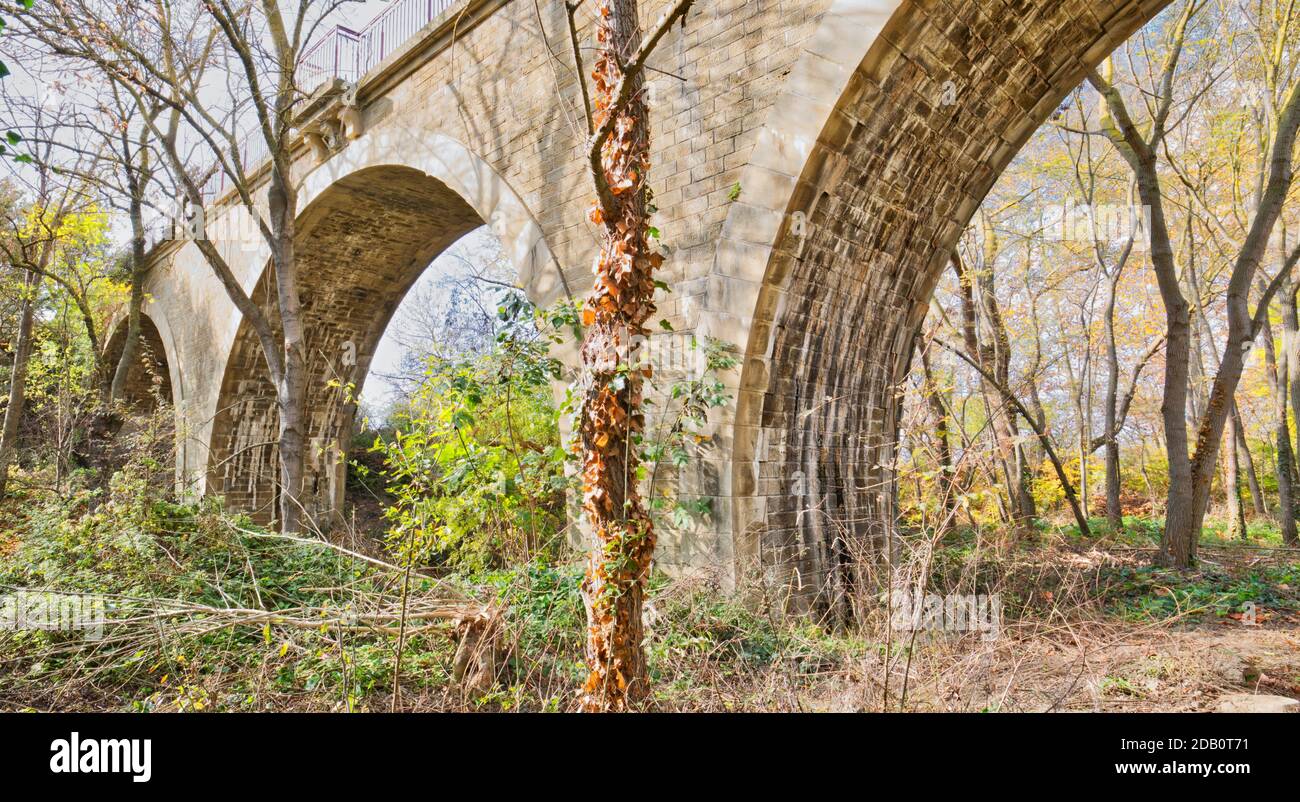 Autumn woodland scene, beneath a stone arched railway bridge. Stained ...