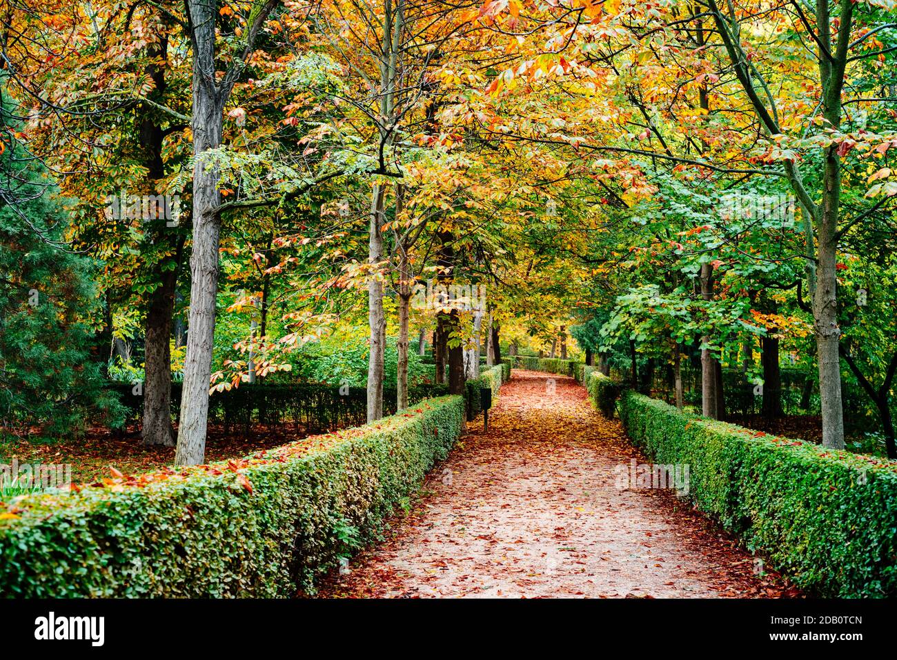Scene of the Buen Retiro Park in Madrid during the fall with vibrant ...