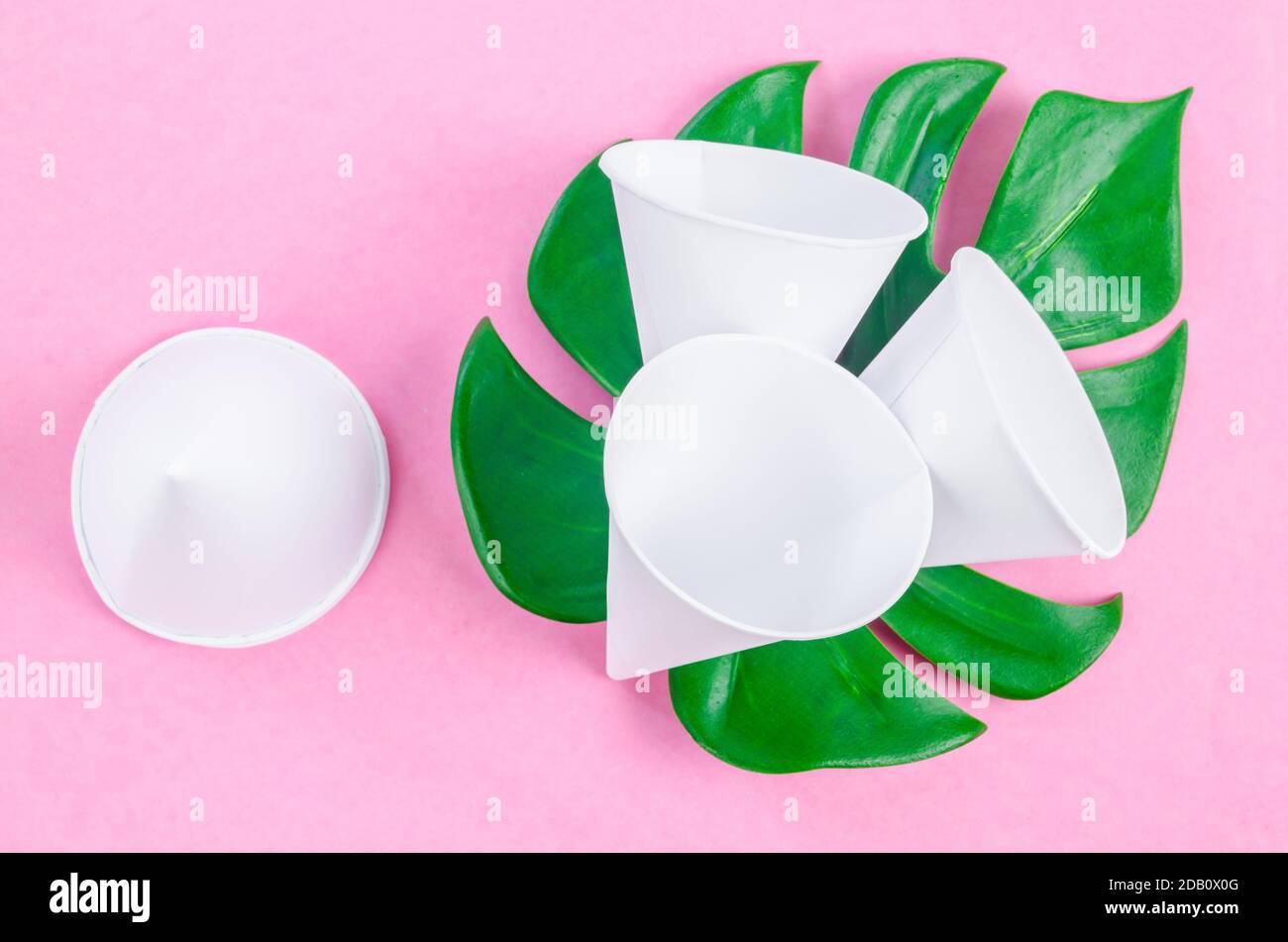 Disposable paper cone water cups with green leaf on pink background ...