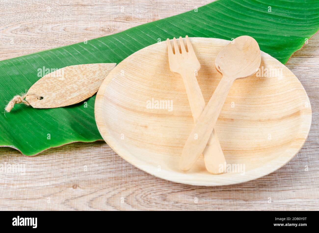 Kitchenware made from dried betel nut leaf palm, natural material. The ...