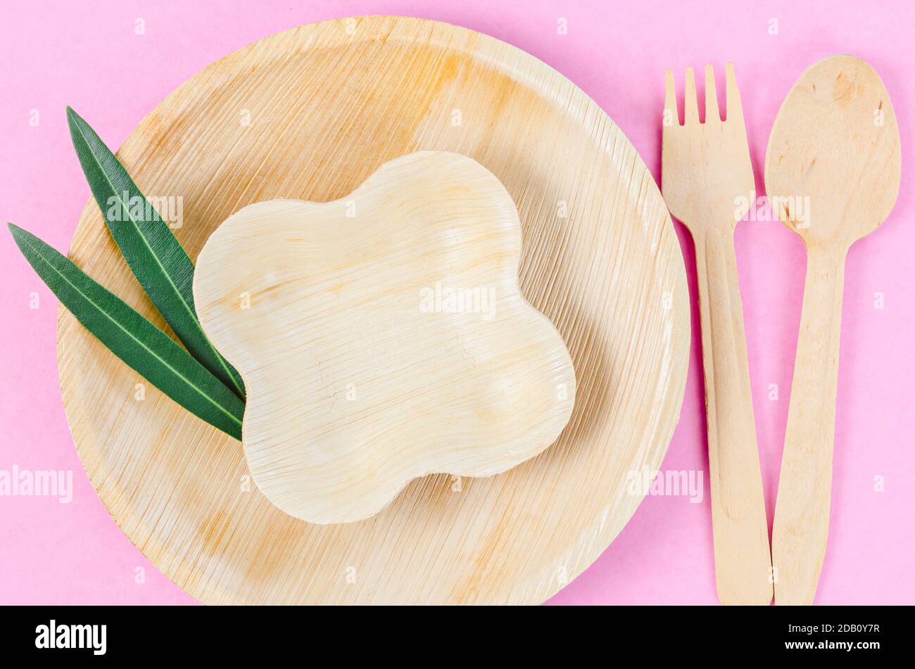 Kitchenware made from dried betel nut leaf palm, natural material. The ...