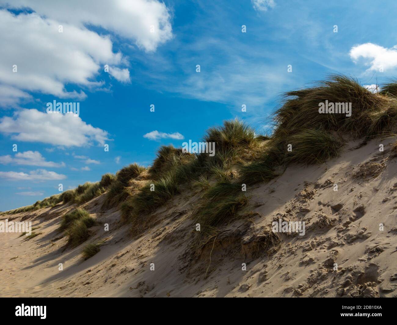 Sand dunes on the beach at Holkham Bay in North Norfolk England UK a ...
