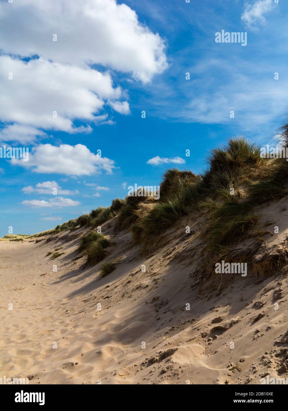 Sand dunes on the beach at Holkham Bay in North Norfolk England UK a ...