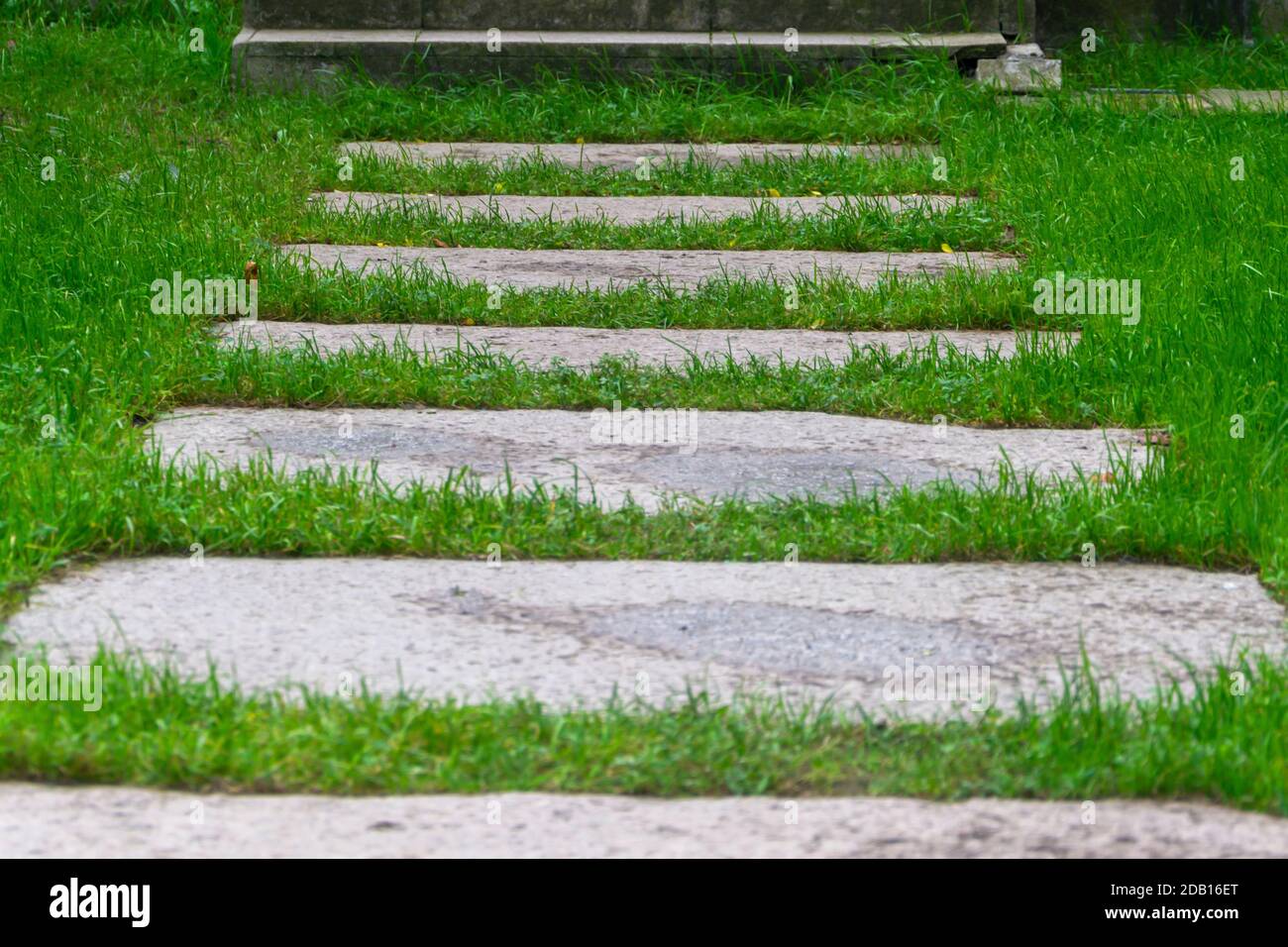 Pedestrian path from old stone slabs on a green lawn. Landscaping ...