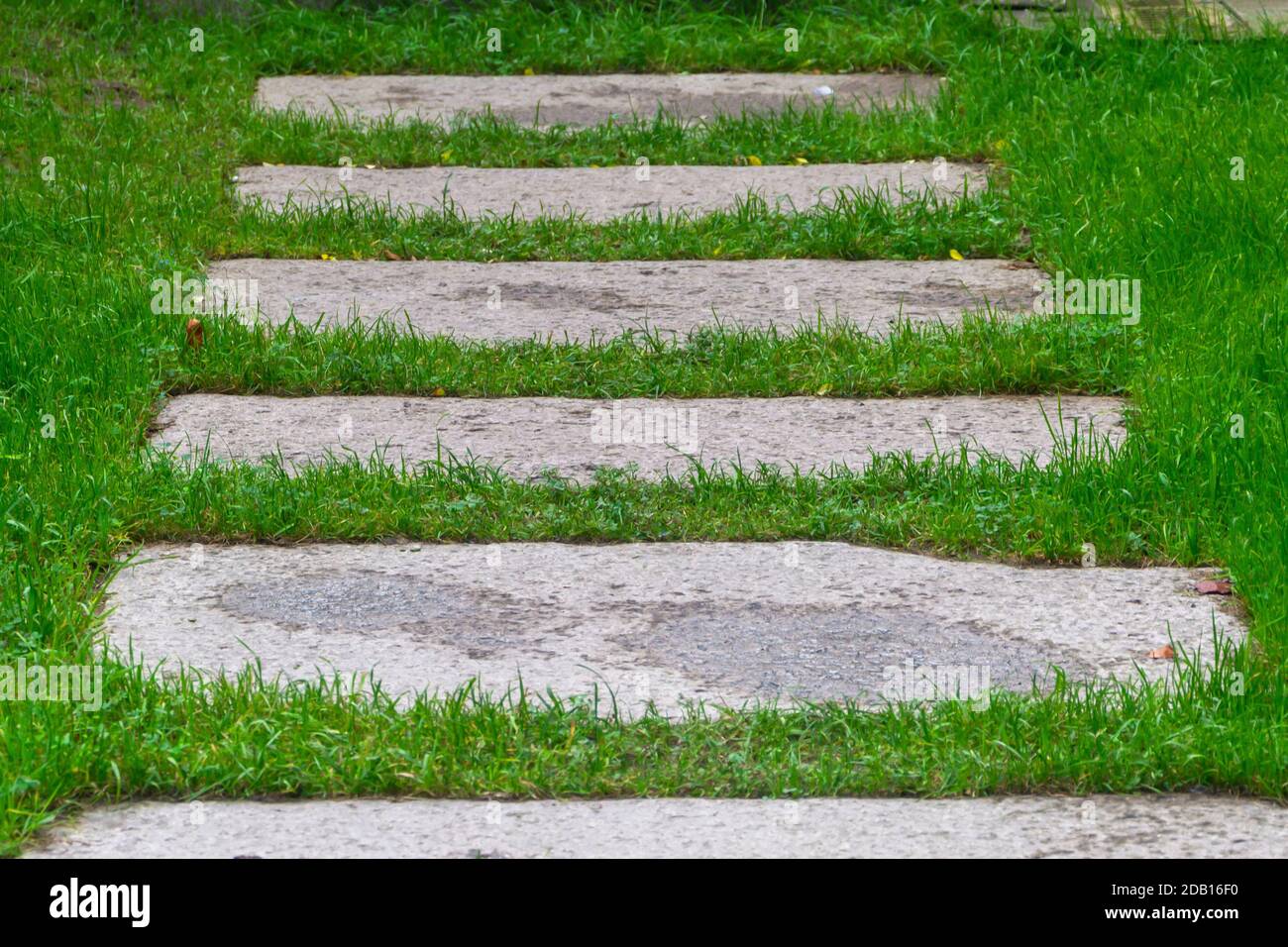 Strictly stone slabs on a green grass lawn. Landscaping concept. Close ...