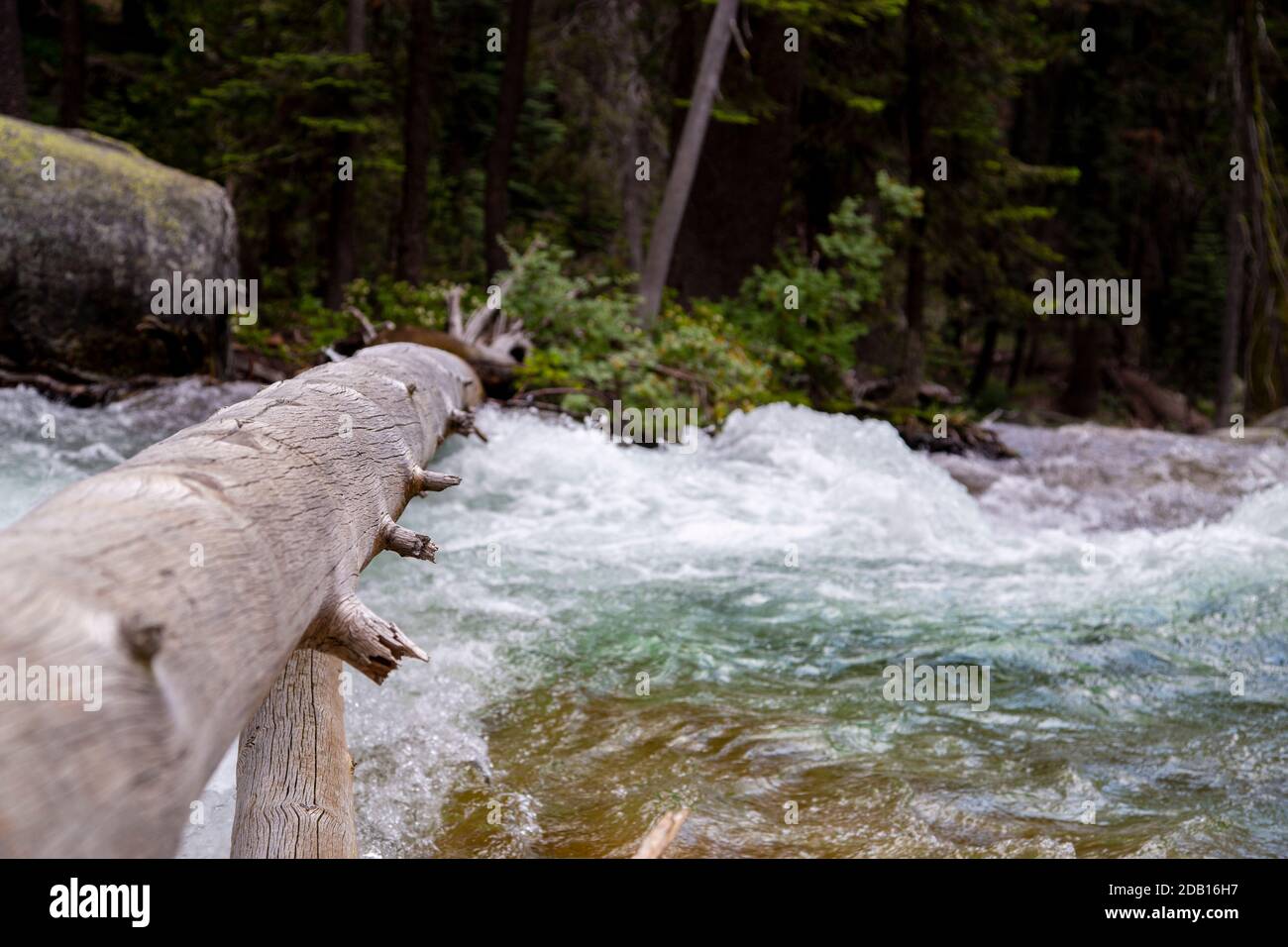Log stretching over rushing creek as a precarious bridge in Sequoia ...