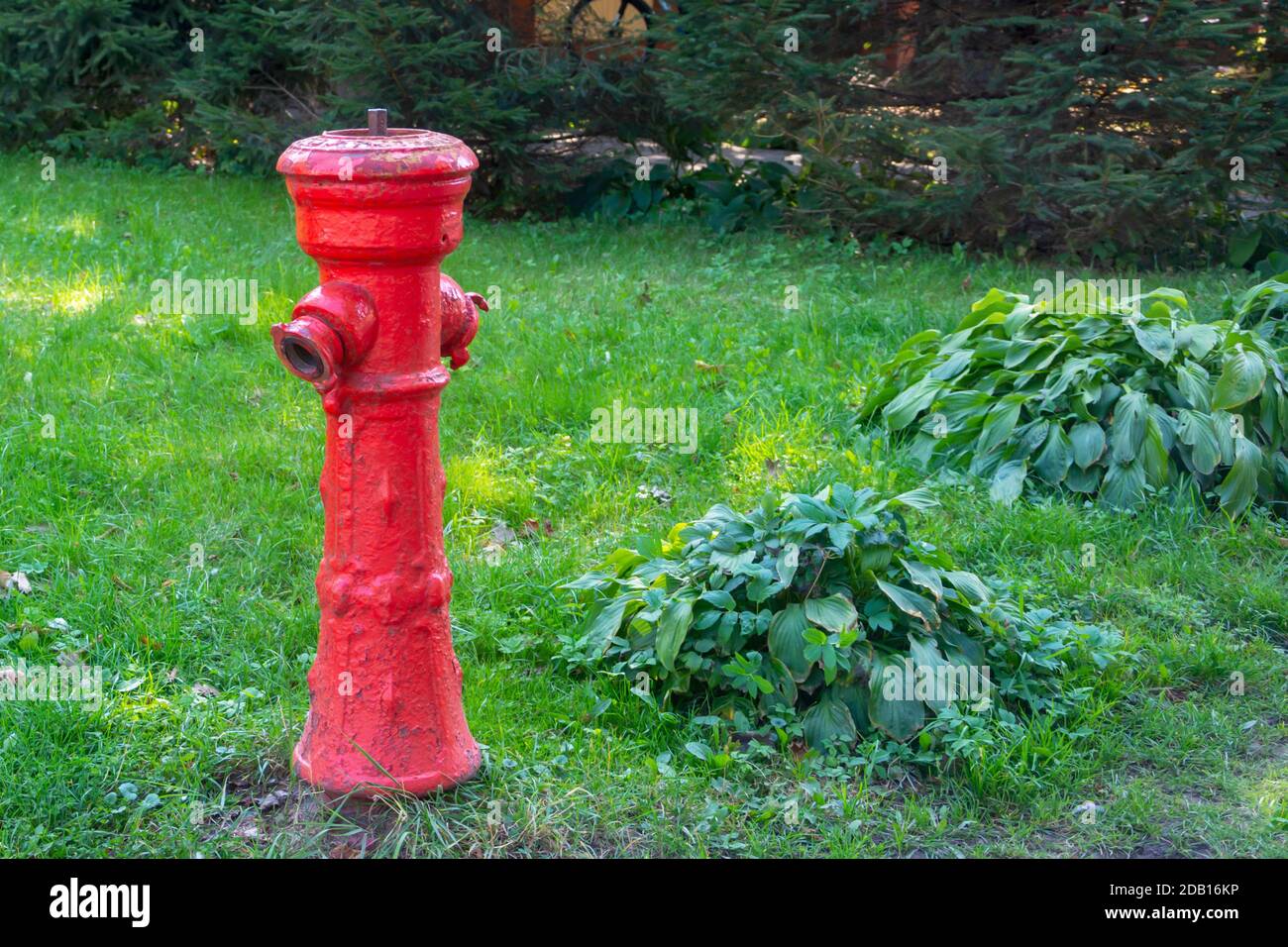 Old fire hydrant of red color on the green grass of the lawn. Fire ...