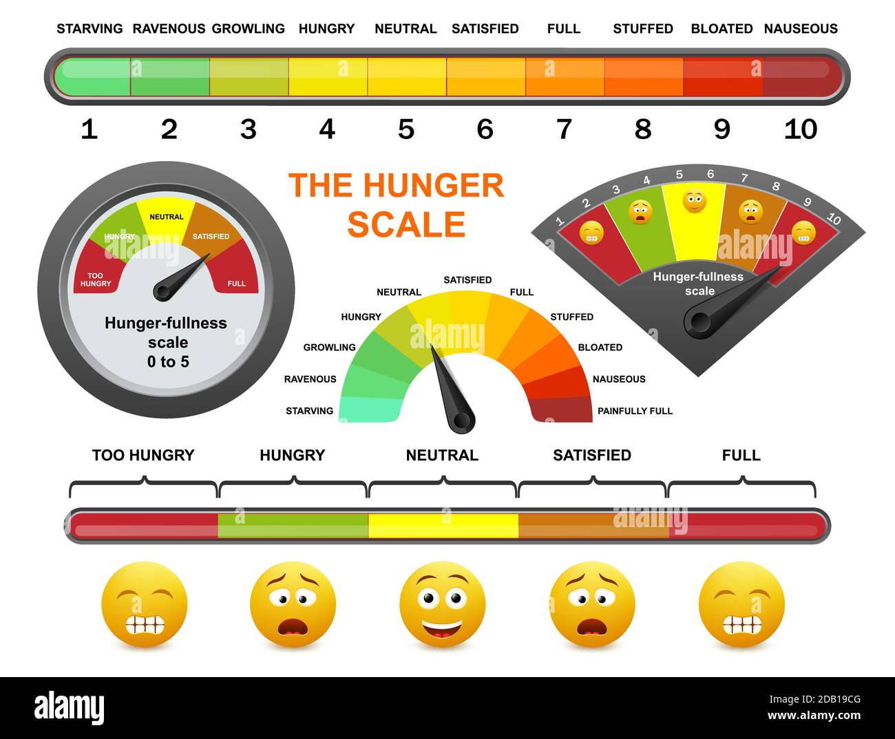 Hunger fullness scale, flat vector illustration. Intuitive eating ...