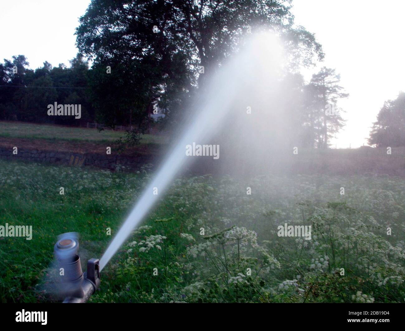 field irrigation through sprinkler system, watering plants and crops in ...