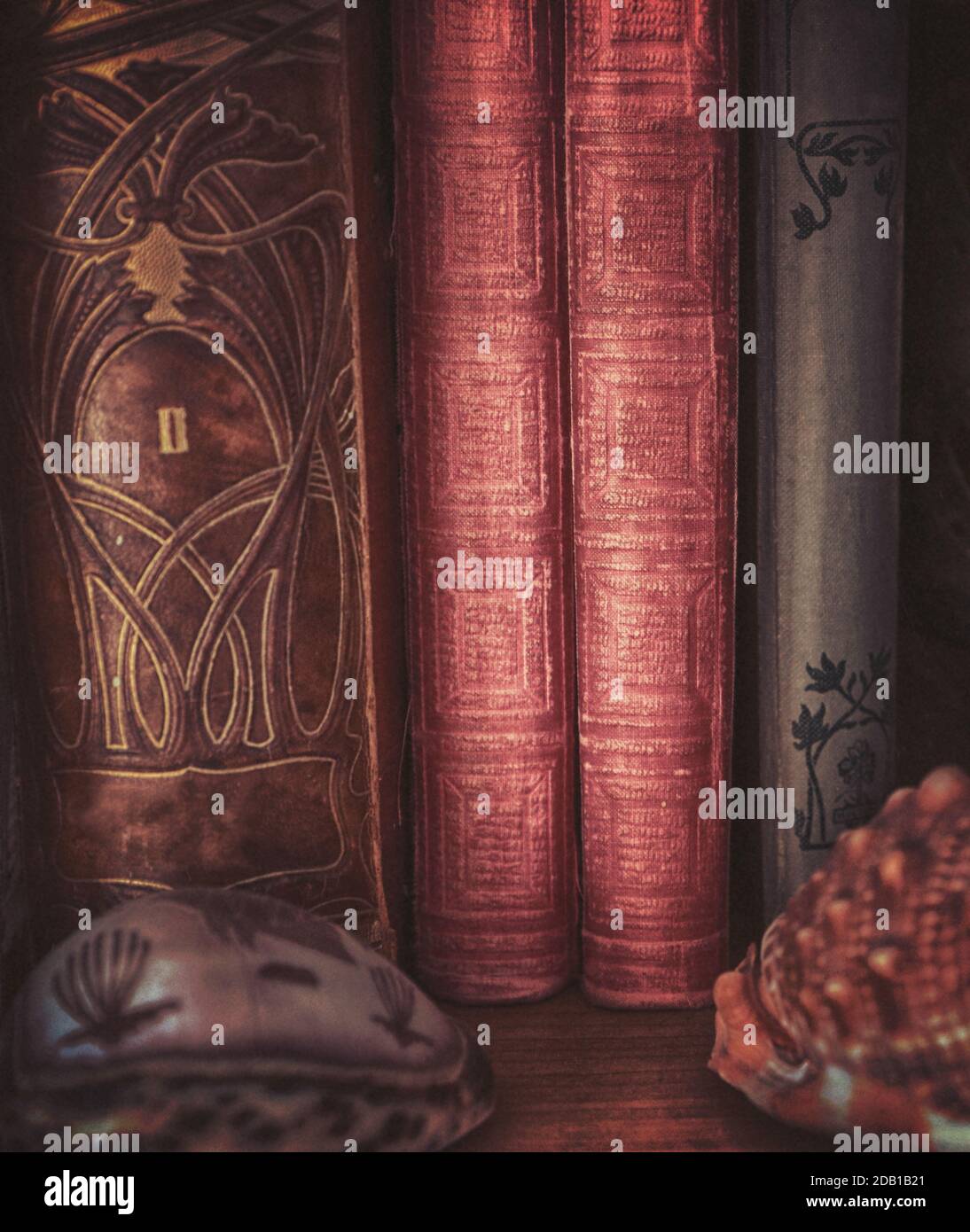 Still life: ancient books on a shelf and decorative shells Stock Photo ...