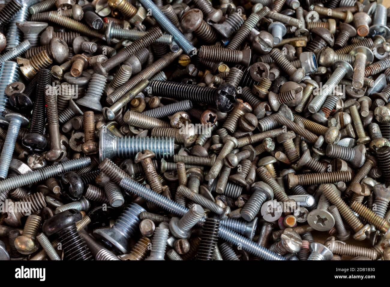 A bunch of screws, different sizes and diameters, with different slots ...