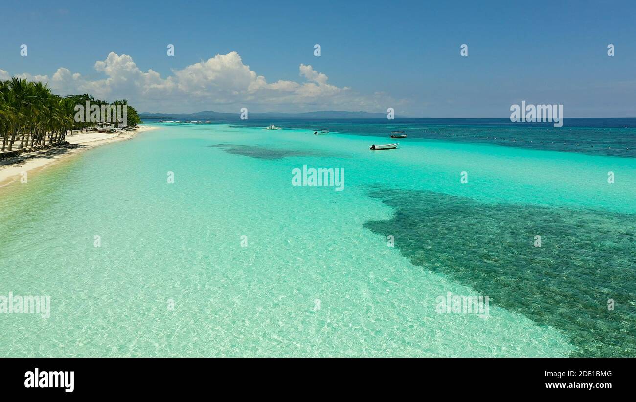 Aerial top view on sand beach,palm tree and ocean. Sandy beach and ...