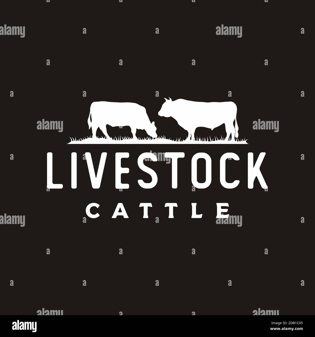 Vintage Retro Angus Cattle or Livestock logo design Stock Vector Image & Art - Alamy
