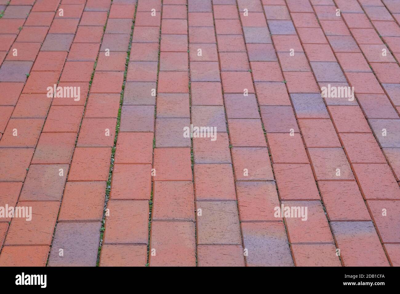 Red Paving slab, background. Pedestrian zone in the park in daylight ...