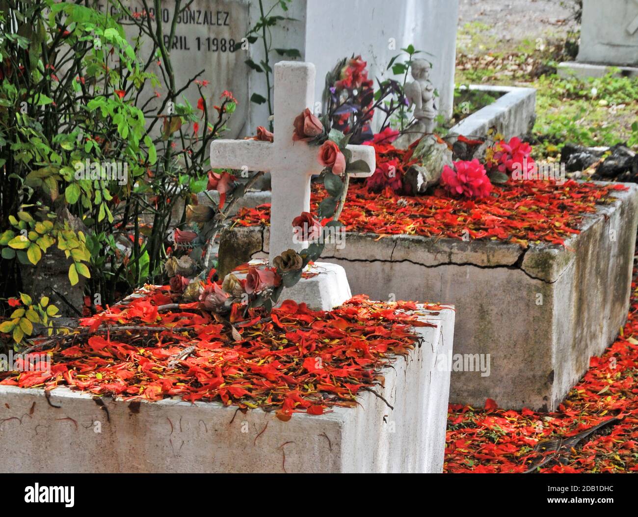 family grave in cemetery, Puerto Ayora, Santa Cruz island, Galapagos ...