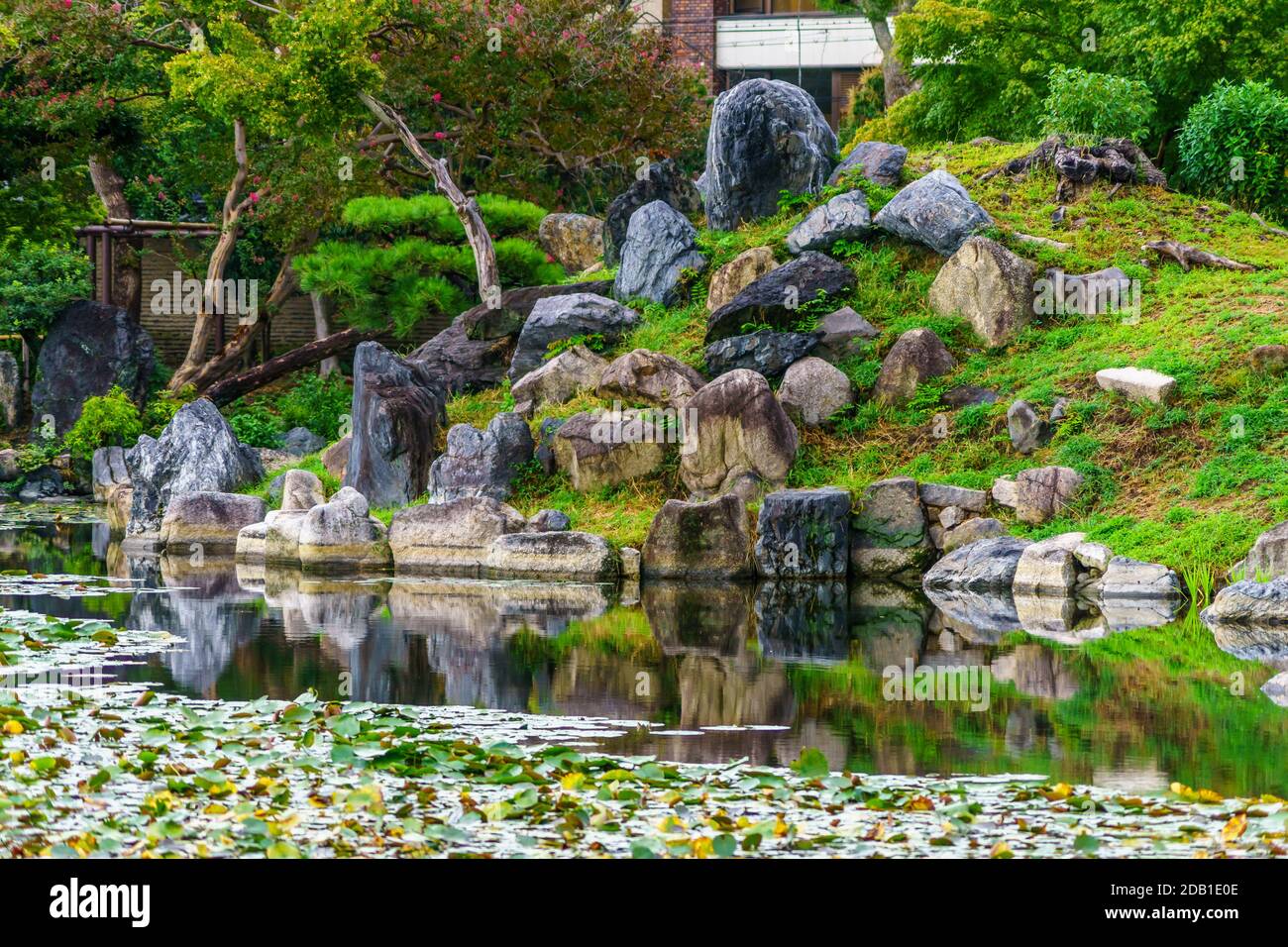 Japanese rock garden scenic hi-res stock photography and images - Alamy