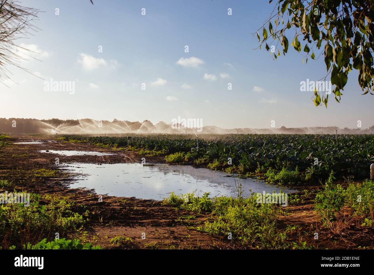 Irrigation sprayer field australia hi-res stock photography and images ...