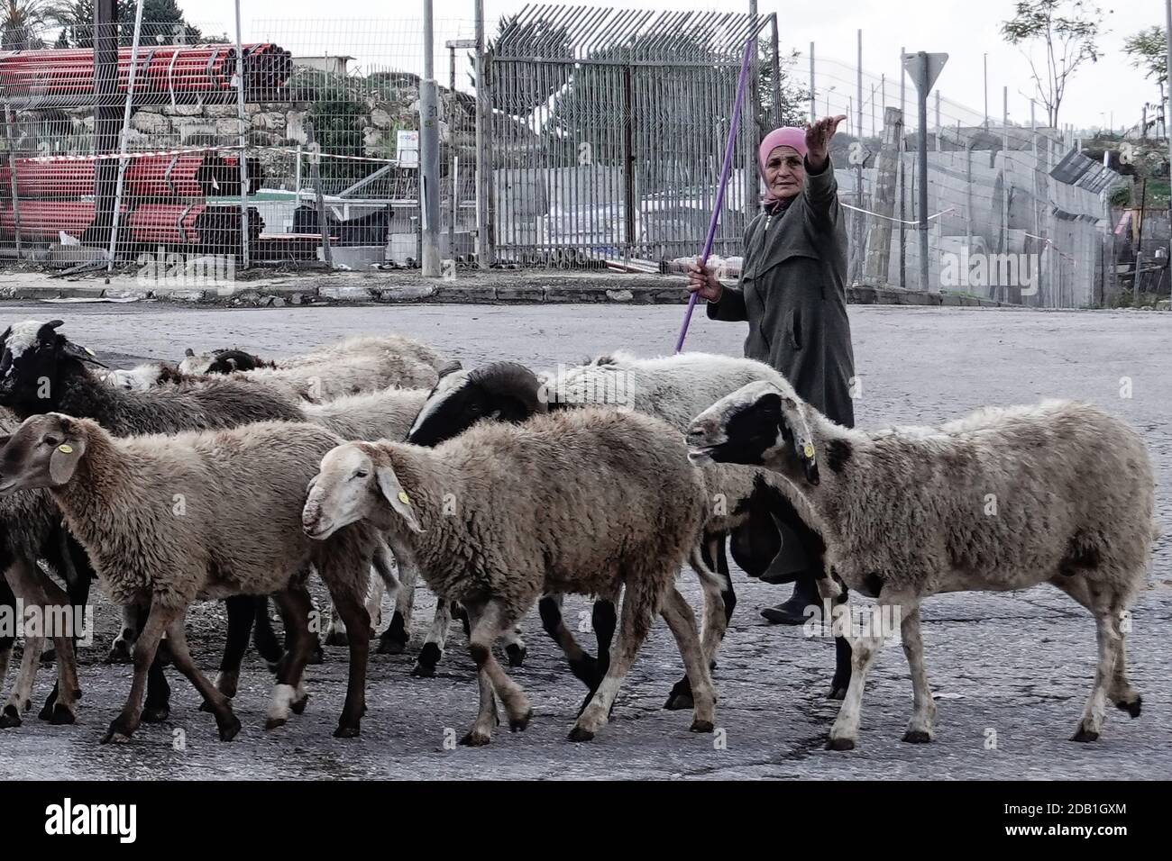 Israel settlement construction shepherd hi-res stock photography and ...