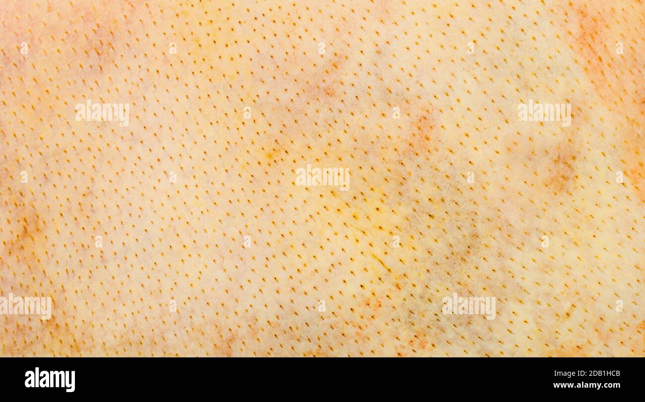 pigskin background,textured pig leather macro Stock Photo - Alamy
