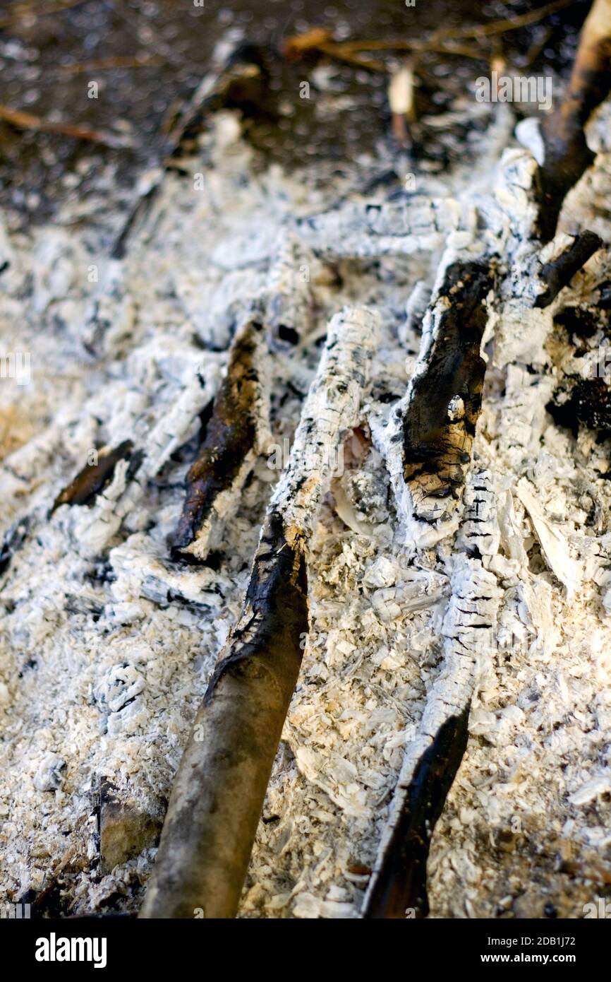 ash close-up ,vertical background Stock Photo - Alamy