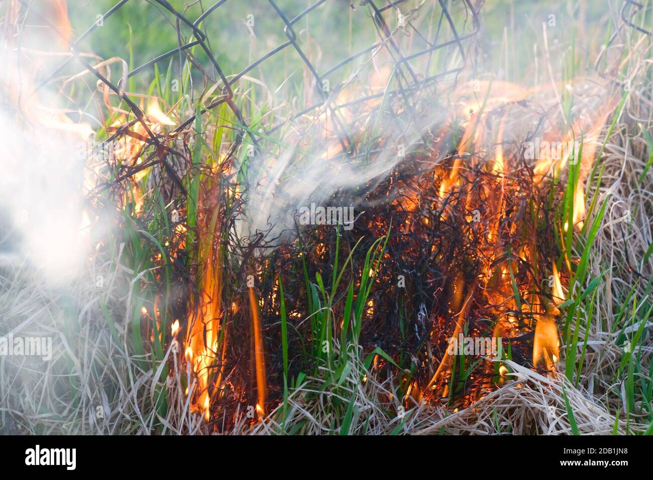 Grass garden on fire nature background Stock Photo - Alamy