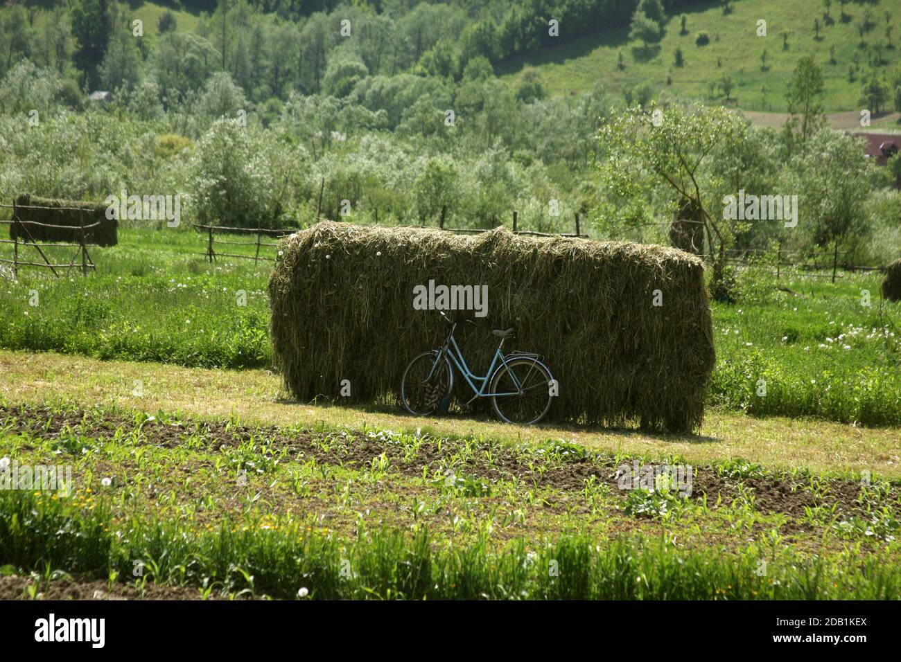 Hay drying rack hi-res stock photography and images - Alamy