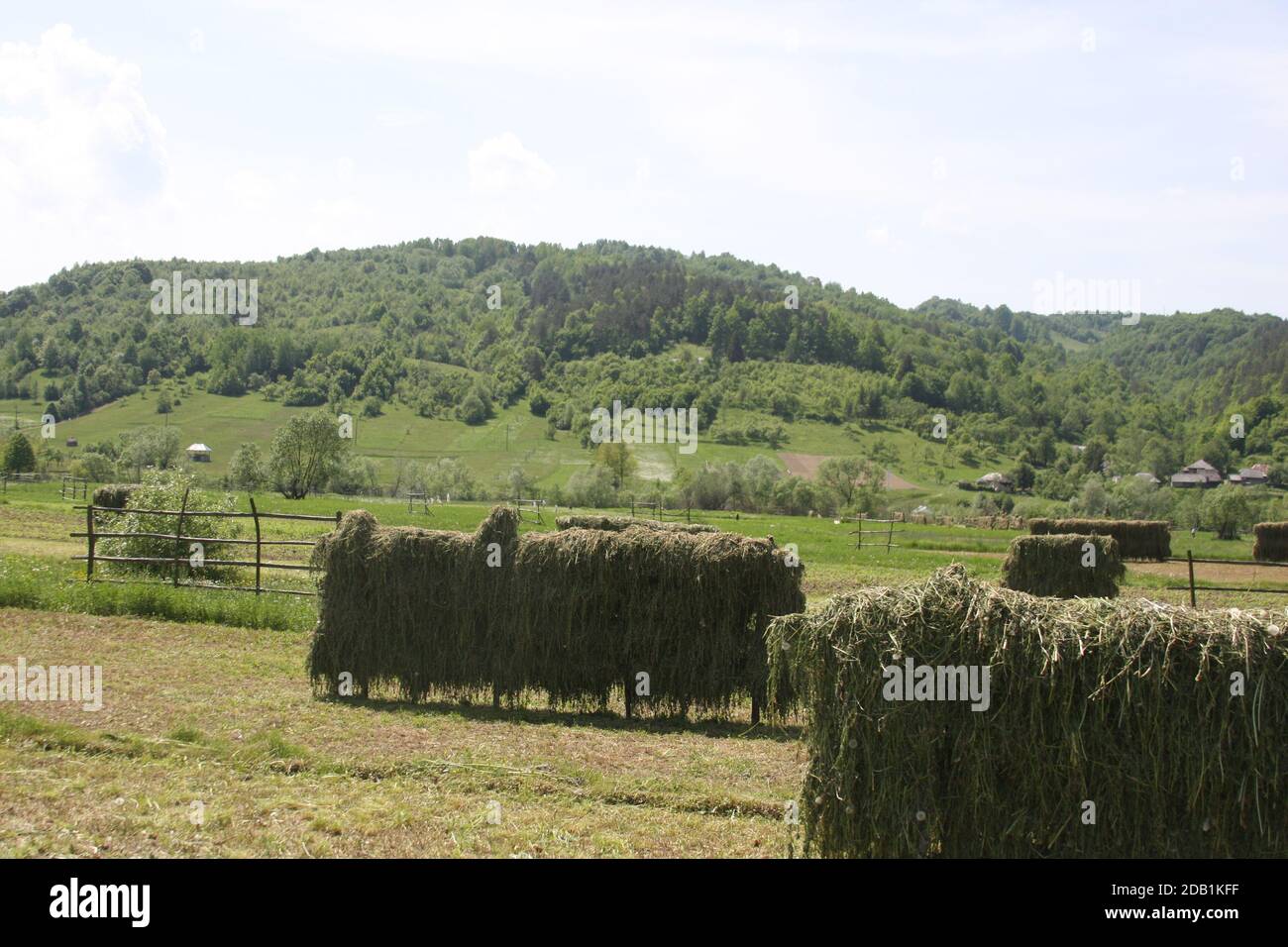 Hay drying rack on field hi-res stock photography and images - Alamy