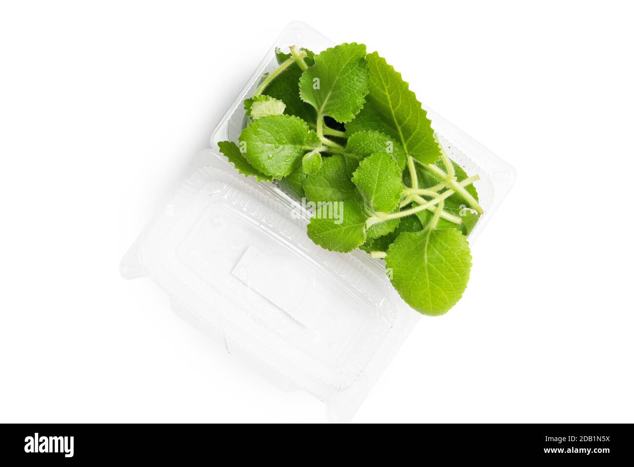 Plastic vein Cut Out Stock Images & Pictures - Alamy