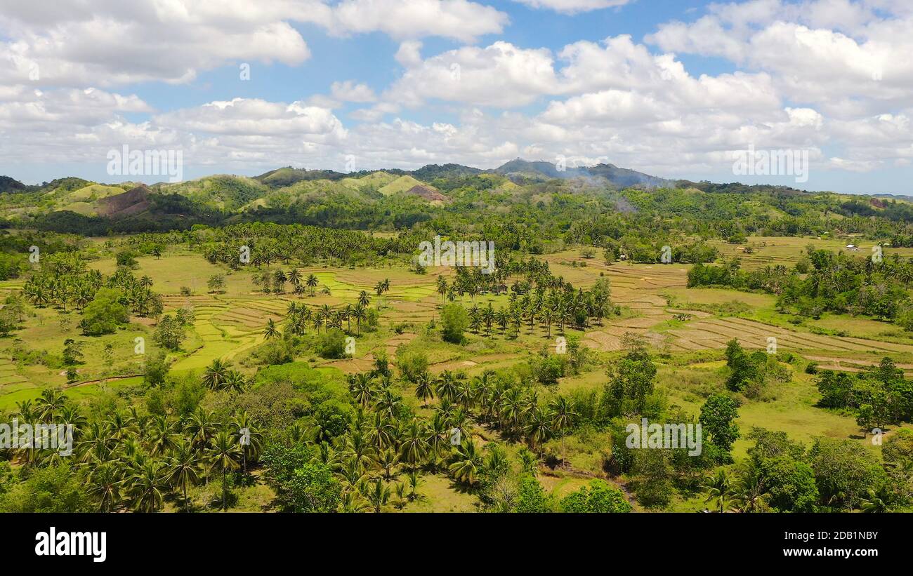 Tropical landscape: Rice fields and hills covered with tropical ...