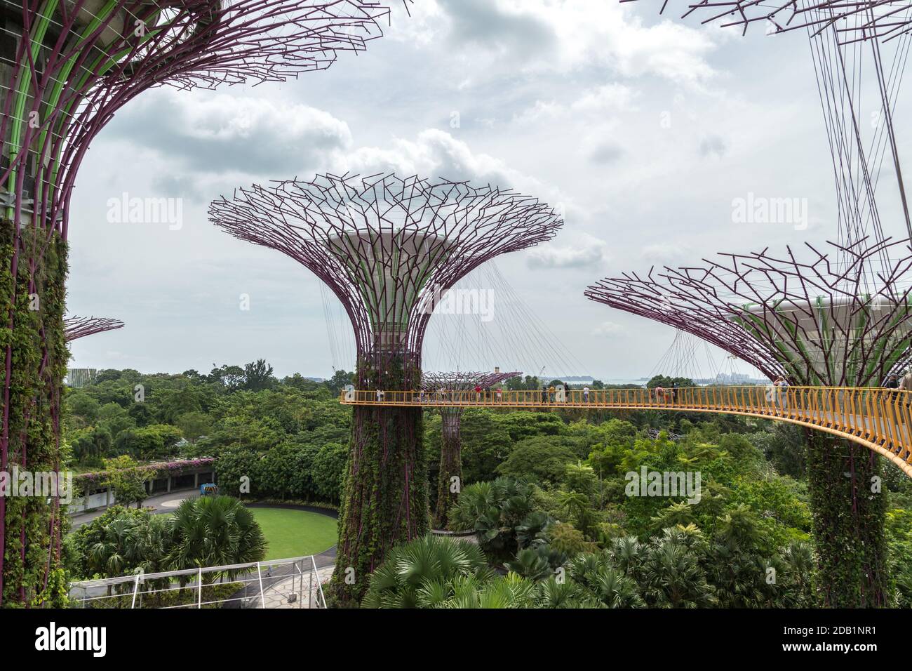 Supertrees at Gardens by the Bay, a nature park in Singapore, are large ...